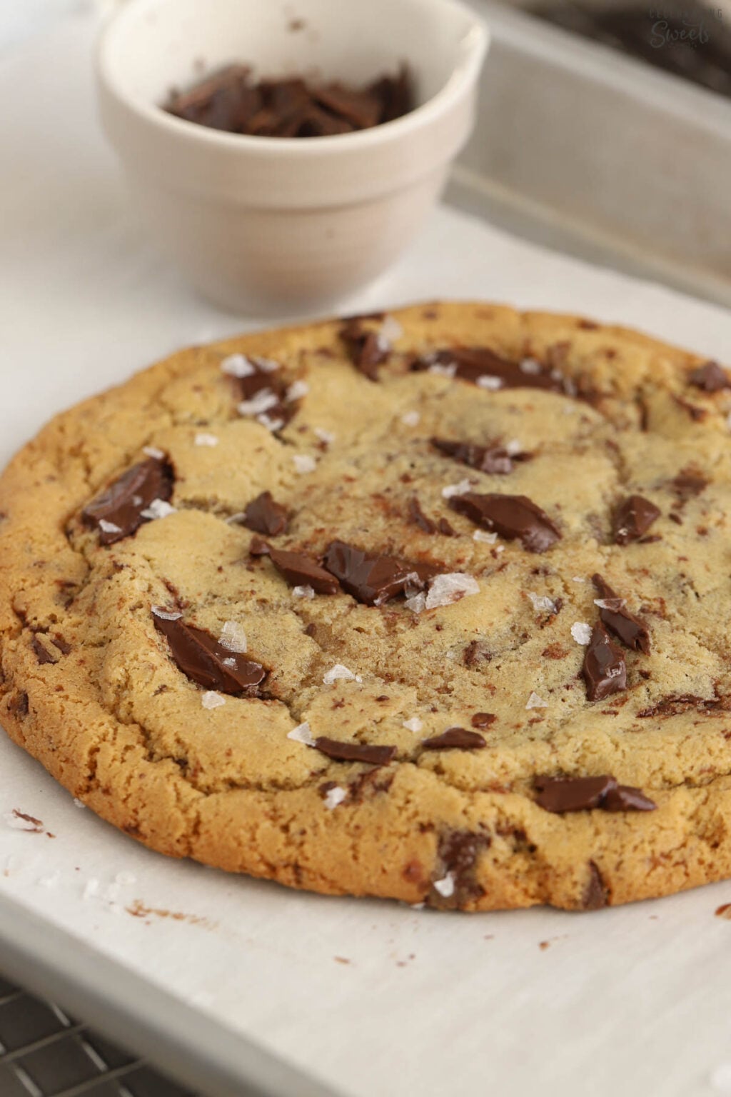 Single Serve Chocolate Chip Cookie - Celebrating Sweets