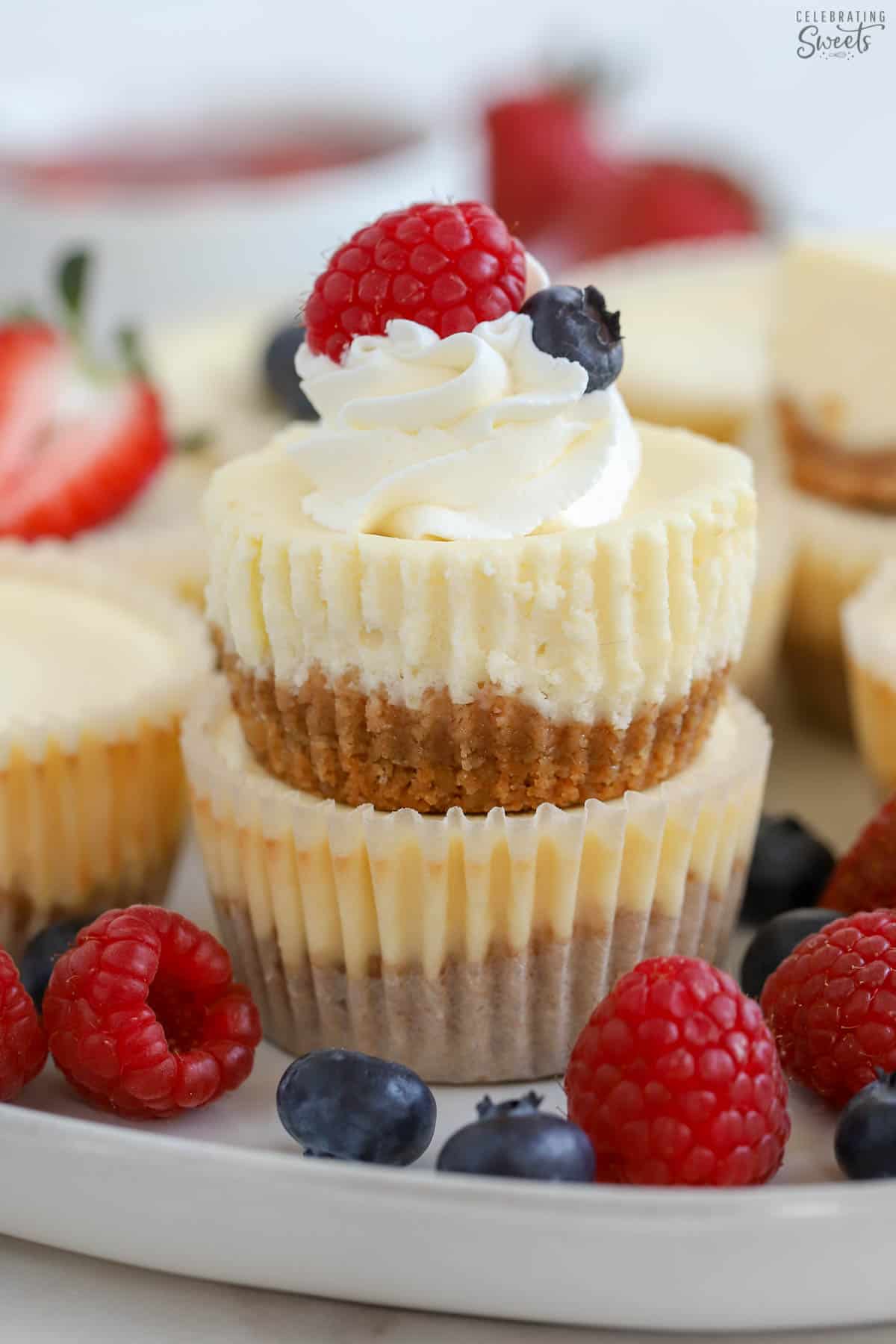 Mini Cheesecake Recipe So Easy Celebrating Sweets Mini Cheesecake Recipe So Easy Celebrating Sweets