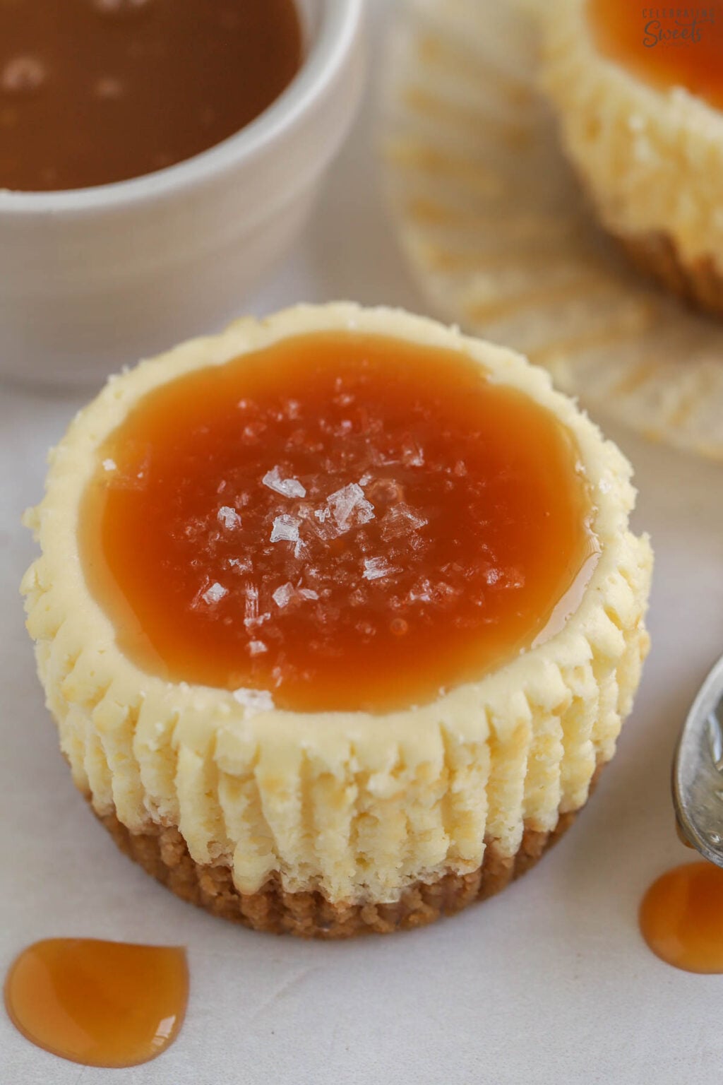 Mini Cheesecake Recipe {So Easy!} - Celebrating Sweets