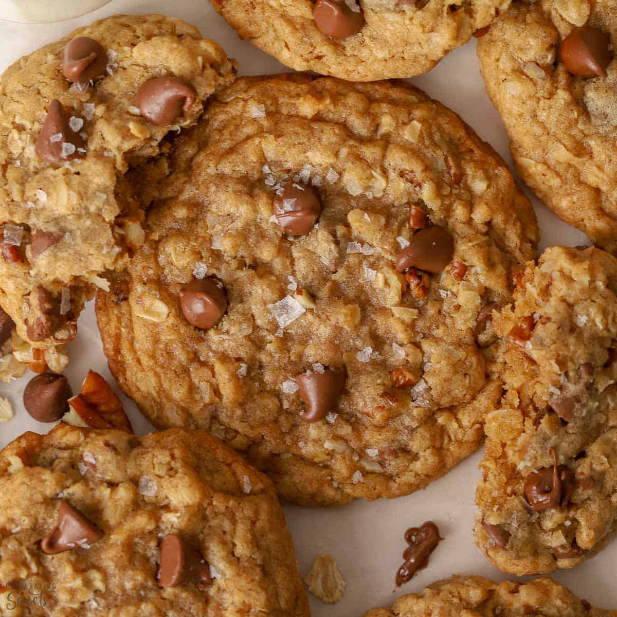 Coconut Chocolate Chip Cookies - Celebrating Sweets
