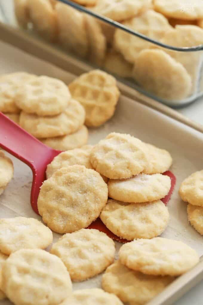 Addicting Mini Sugar Cookies - Celebrating Sweets